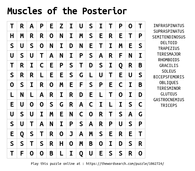 Download Word Search on Muscles of the Posterior