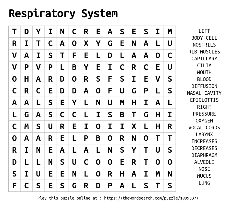 Download Word Search on Respiratory System