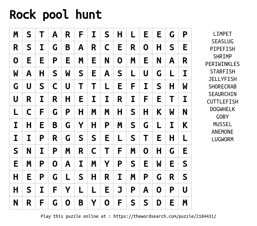 Download Word Search on Rock pool hunt