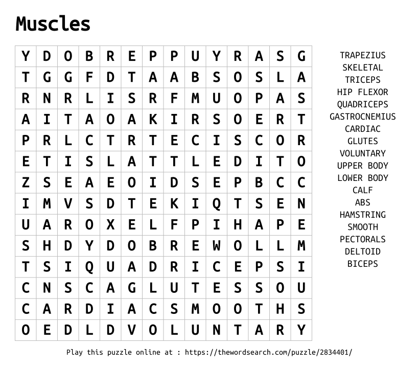 Download Word Search On Muscles Download Word Search On Muscles