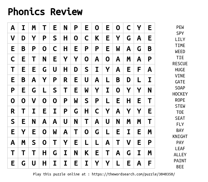 Phonics Review Word Search
