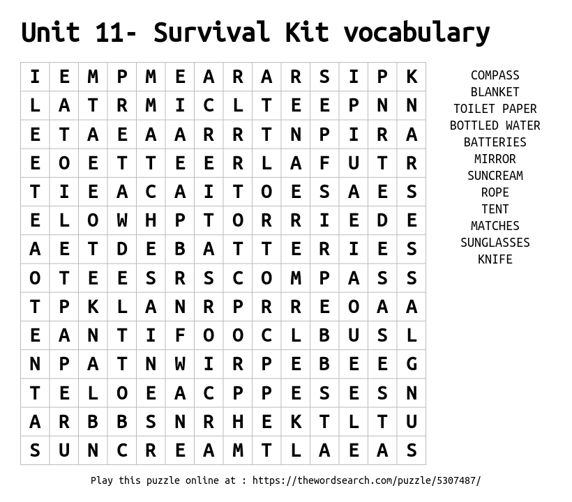 Download Word Search on Unit 11- Survival Kit vocabulary