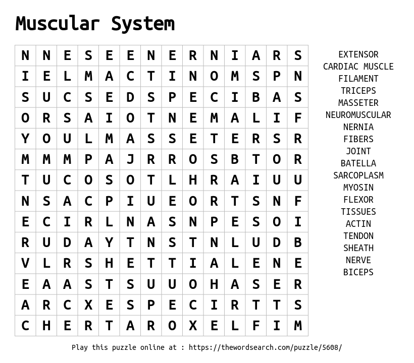 Muscular System Word Search