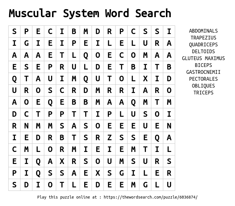 Muscular System Word Search Word Search
