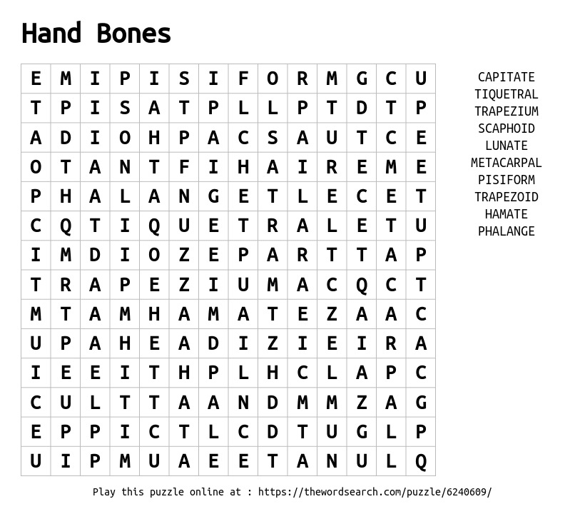 Hand Bones Word Search