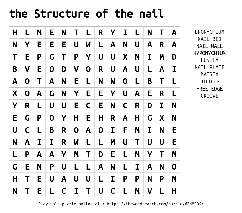 the Structure of the nail Word Search