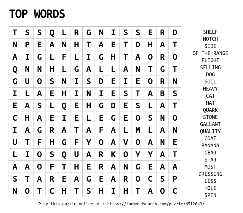 TOP WORDS Word Search