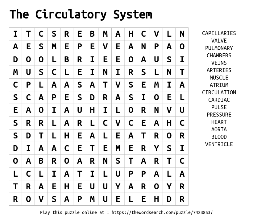 The Circulatory System Word Search