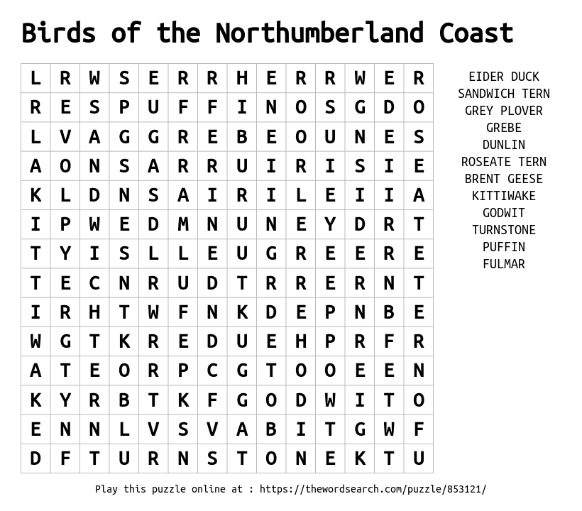 Birds of the Northumberland Coast Word Search