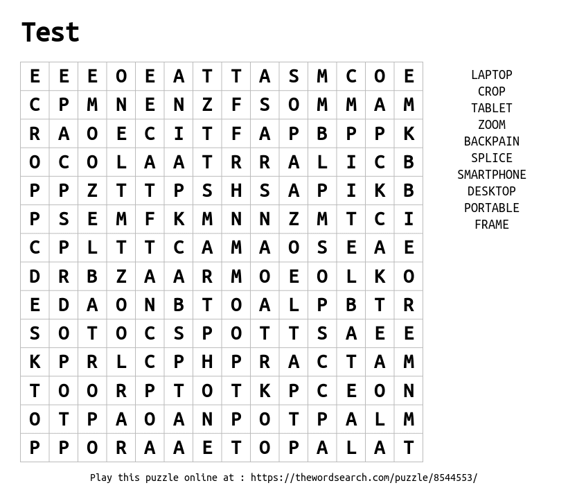 Test Word Search