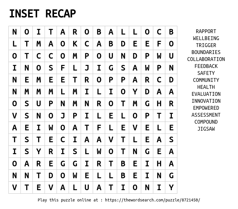 INSET RECAP Word Search