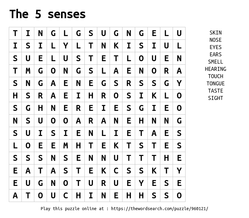 Download Word Search On The 5 Senses